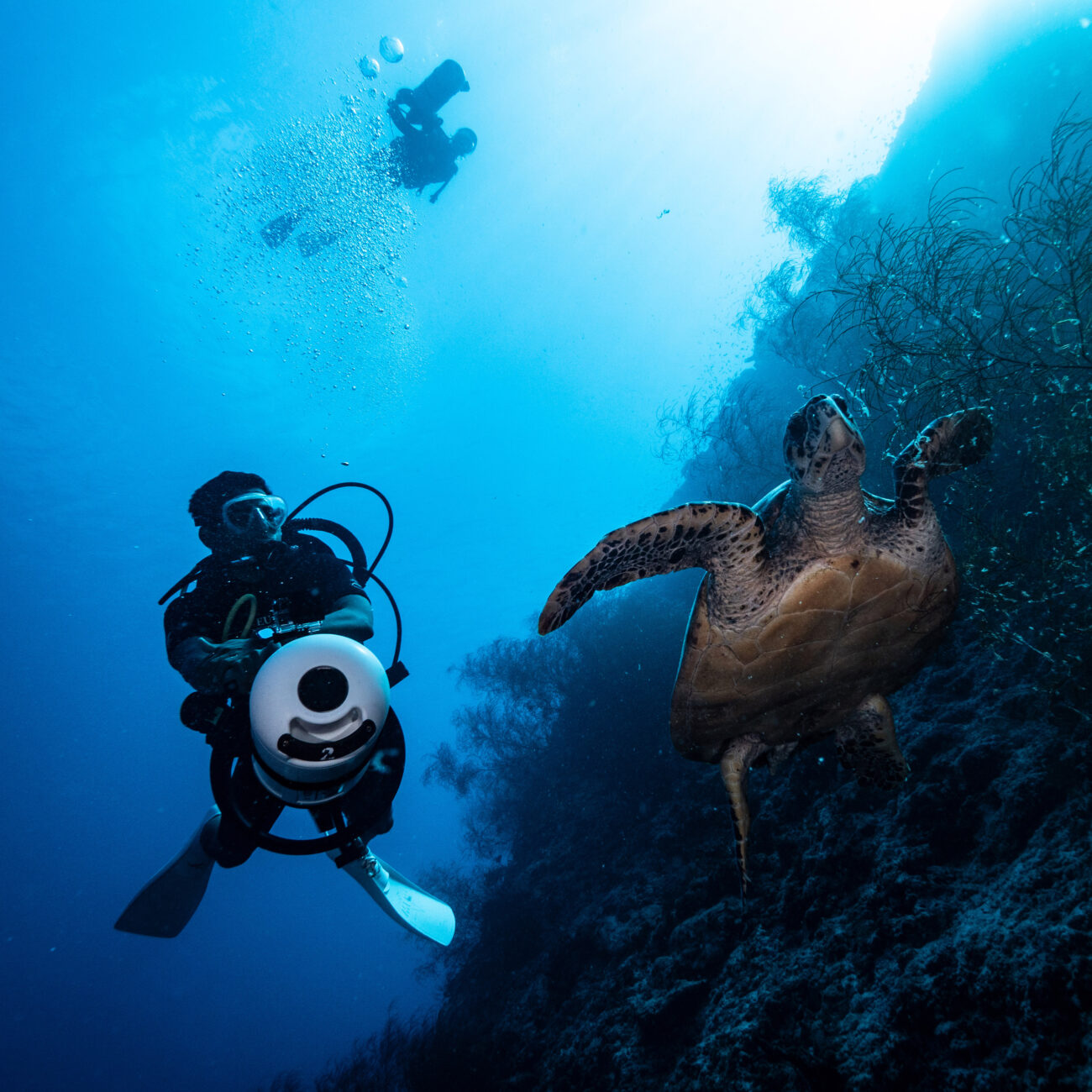 SCUBA DIVING - Meeru Maldives Resort Island